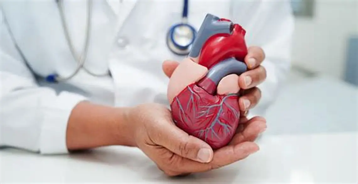 Australian engineers redesign heart pump to transform care for half of ...